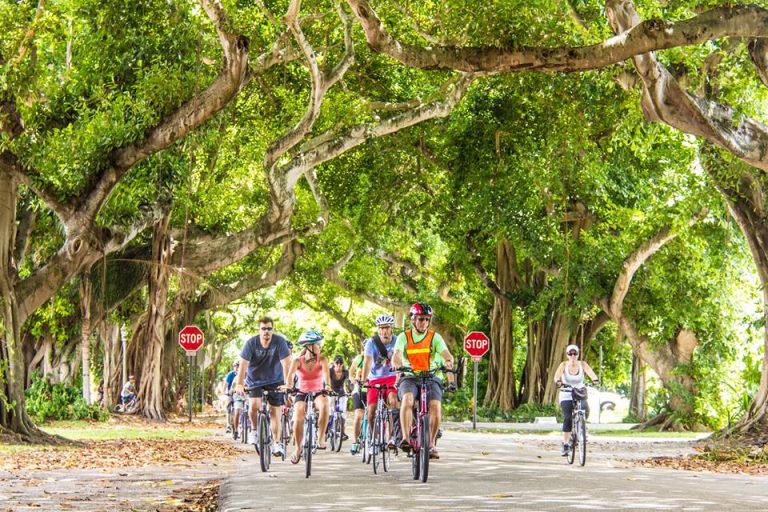 Are You Taking Advantage of All The Programs Offered By The Coral Gables Museum? - Coral Gables Love