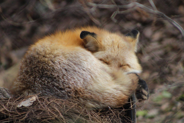 Asheville, North Carolina Travel Guide - Coral Gables Love