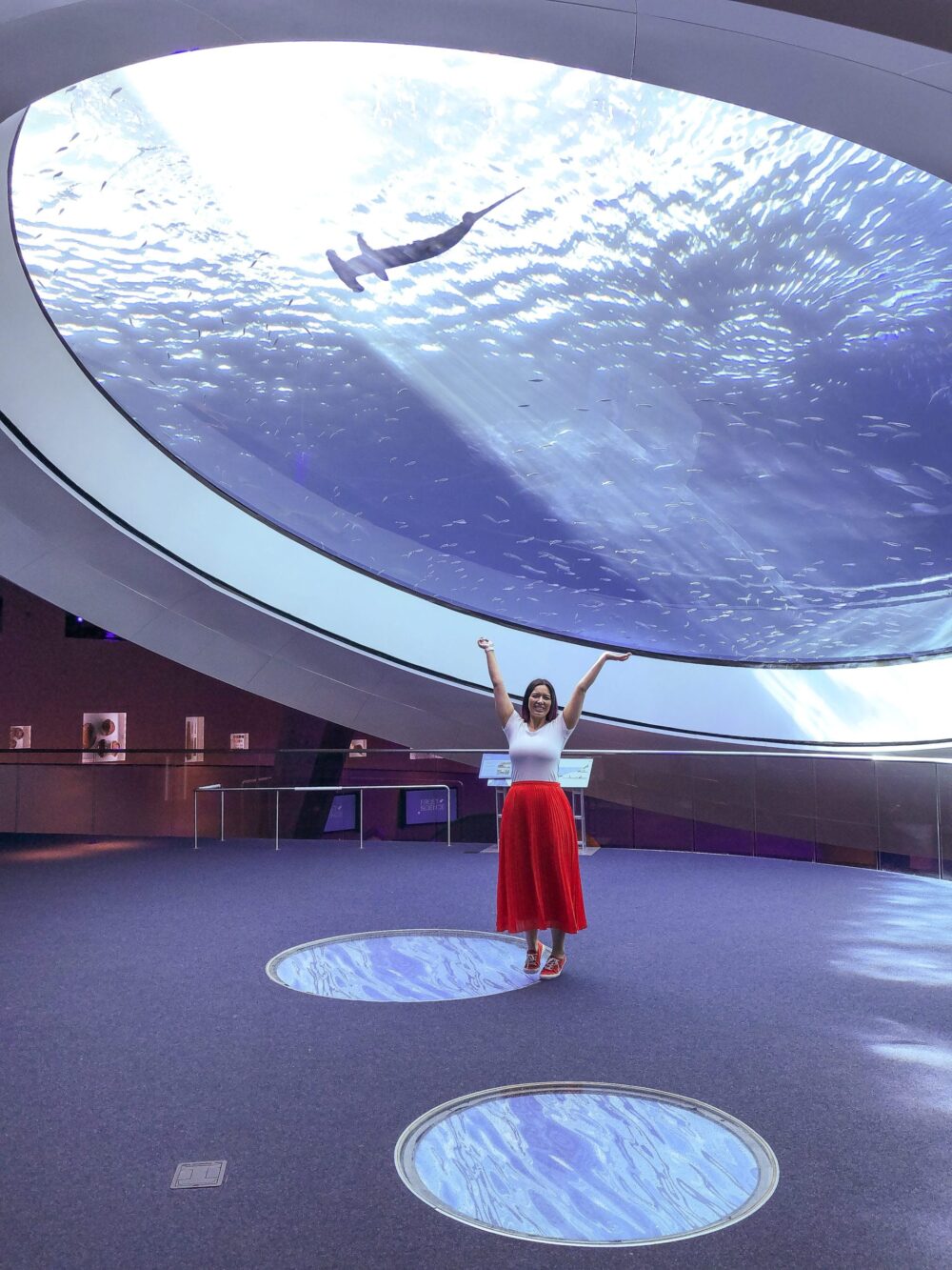 Top 3 Things Not To Miss at The Frost Science Museum in Downtown Miami ...