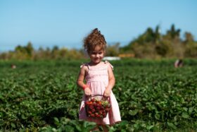 Exploring Homestead, Florida: 14 Fun Things To Do - Coral Gables Love
