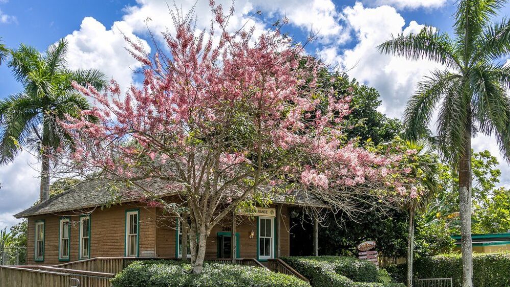 Exploring Homestead, Florida: 14 Fun Things To Do - Coral Gables Love