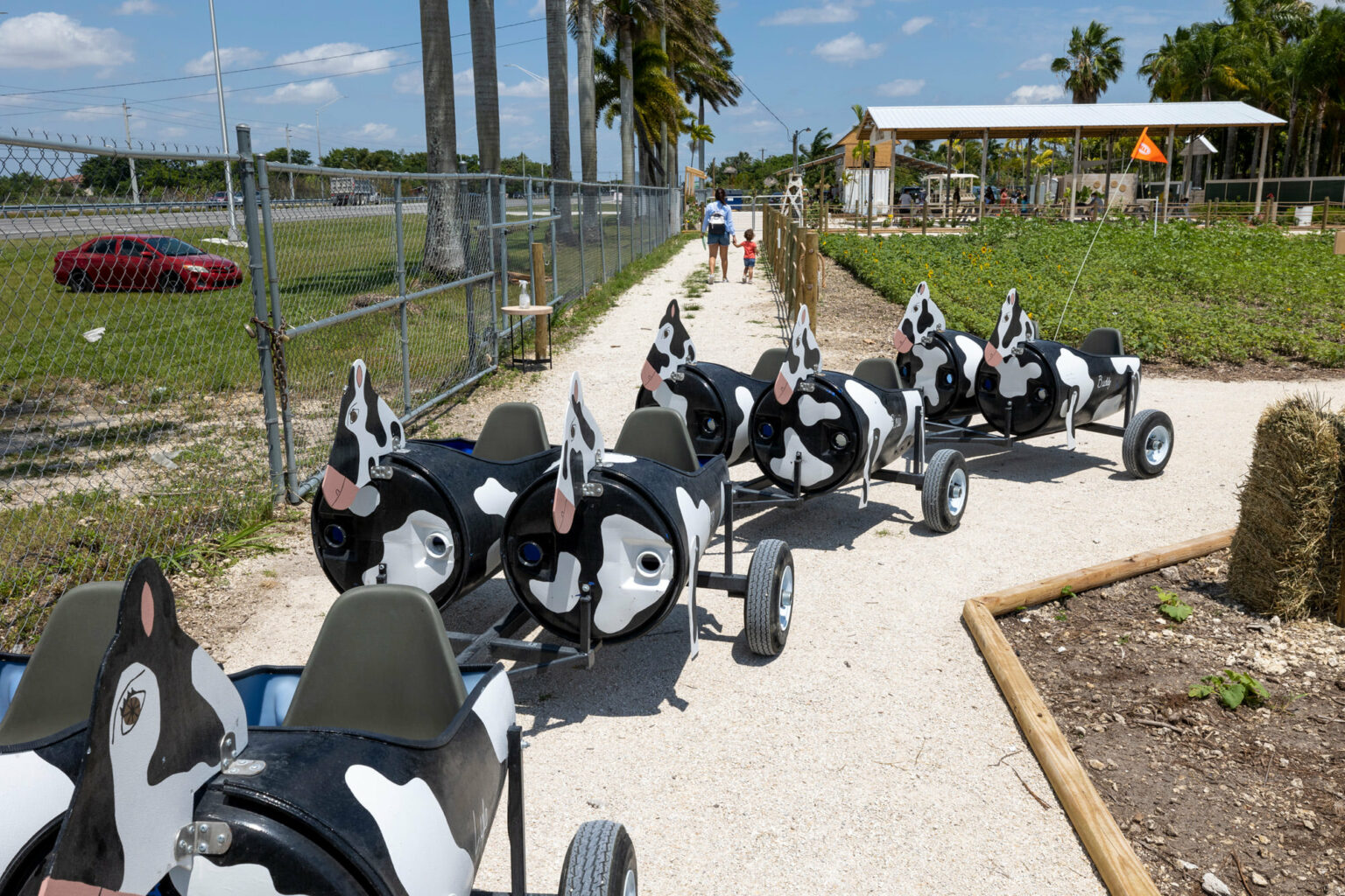 Tinez Farms Promo Code: CGLOVE - Coral Gables Love