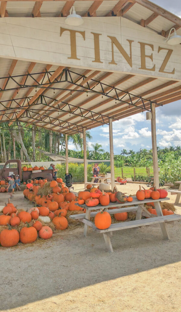 Tinez Farms Promo Code: CGLOVE - Coral Gables Love